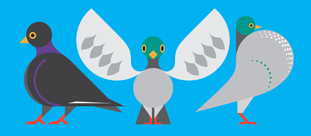 Optimum Birds - kriswong.com